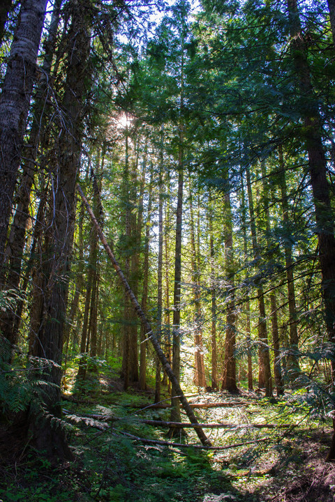 Outside in Idaho – Kyler Michaelson