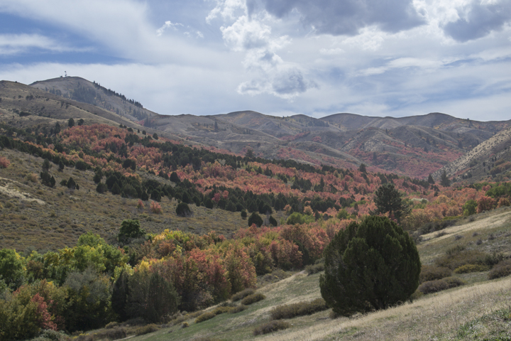 Outside in Idaho – Kyler Michaelson
